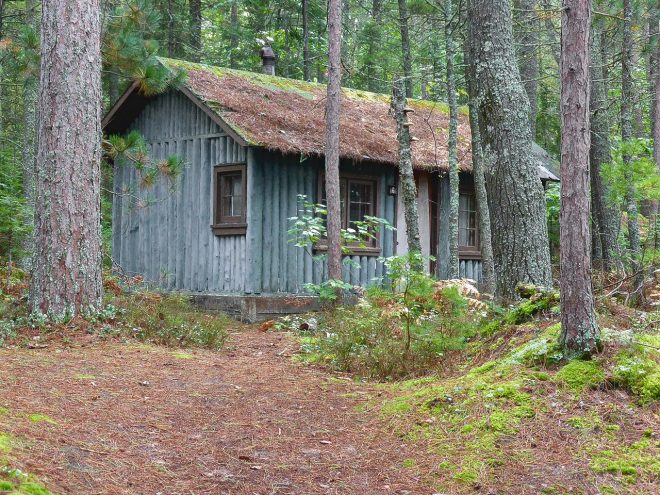 Primitive Log Cabin Build in Forest | The Shelter Blog
